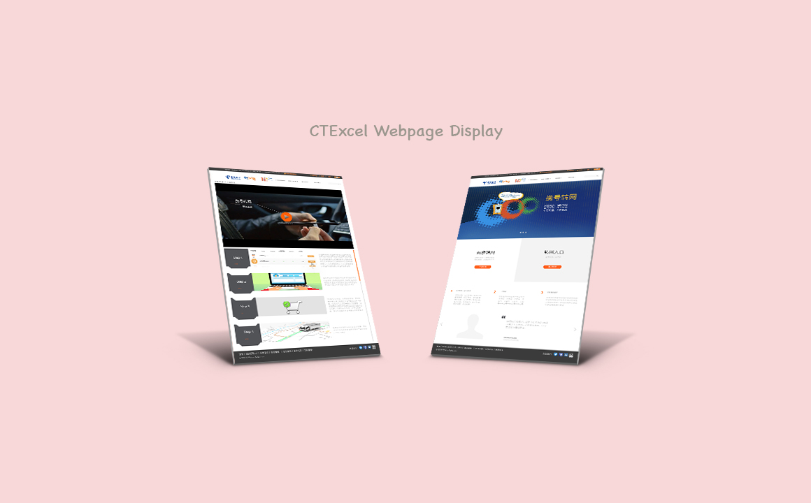 CTExcel Marketing Webpage | Yiqing Ling